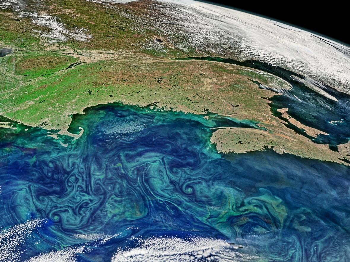 Global algae blooms are growing, and warming waters may be to blame ...