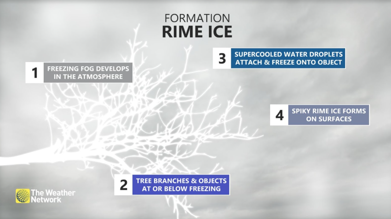 The beauty (and danger) behind rime ice - The Weather Network