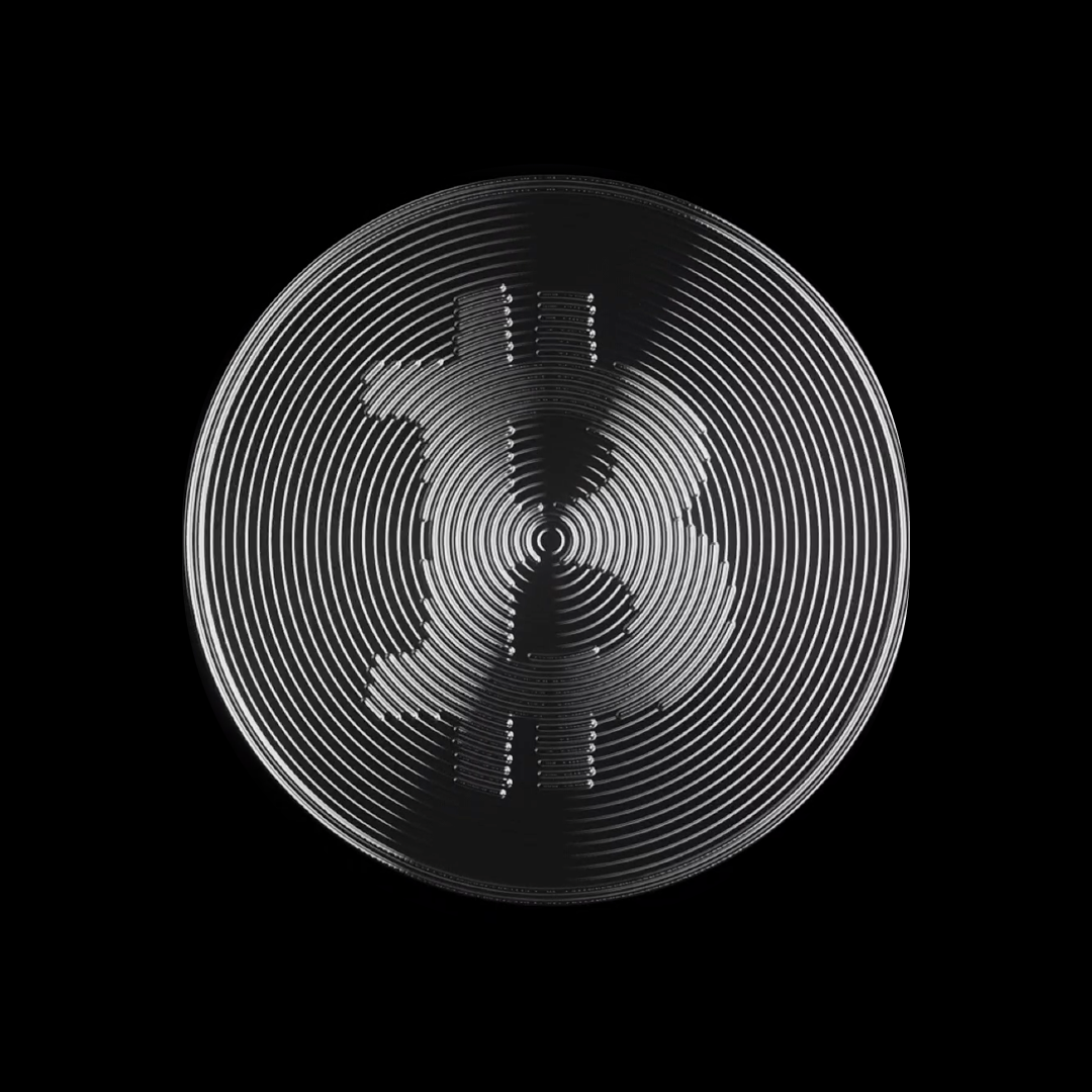 AMF1 Melbourne Sweeps