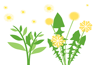 Pollen Count Today | REACTINE® Canada