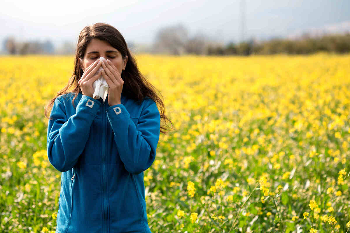 Guide canadien des allergies au pollen des graminées | REACTINE®
