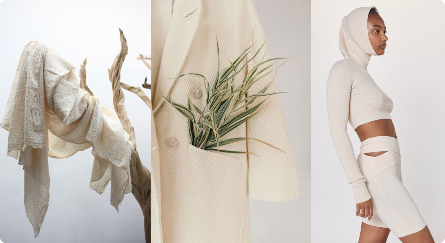 How To Make Money With Print On Demand From Home | NovaTomato