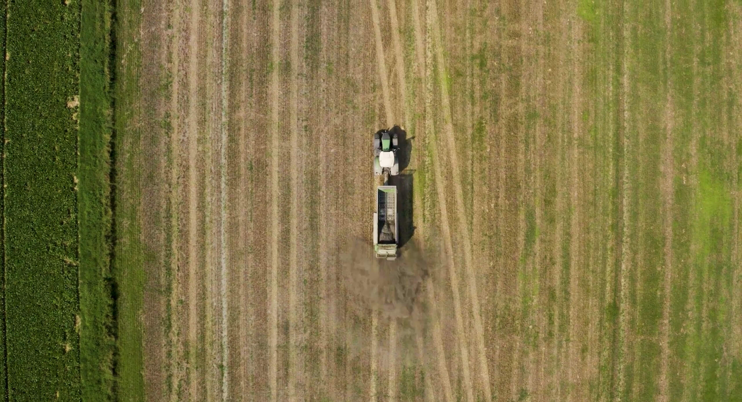 Senken | ZeroEx – Enhanced Rock Weathering in Germany