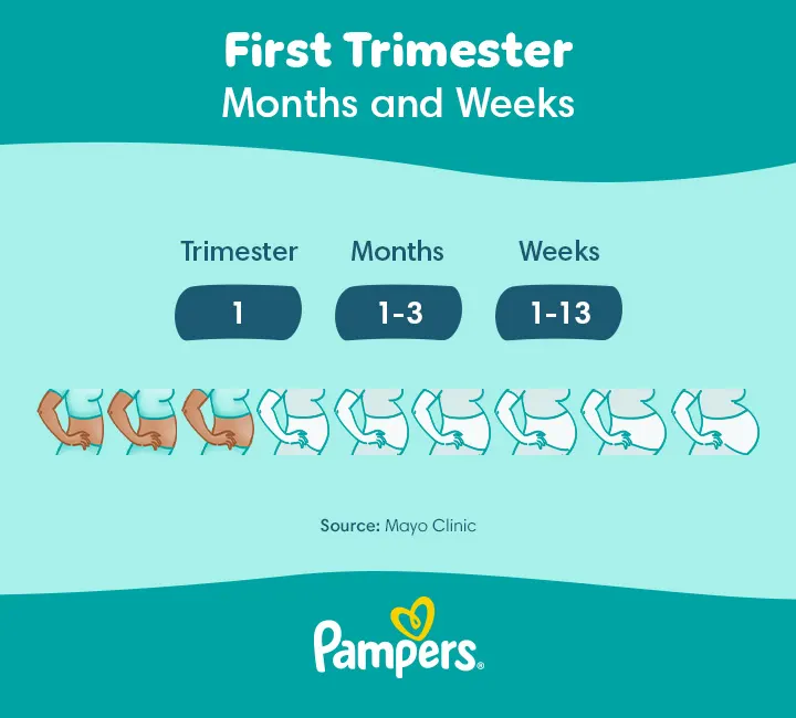 First Trimester Guide: Symptoms and Tips | Pampers CA