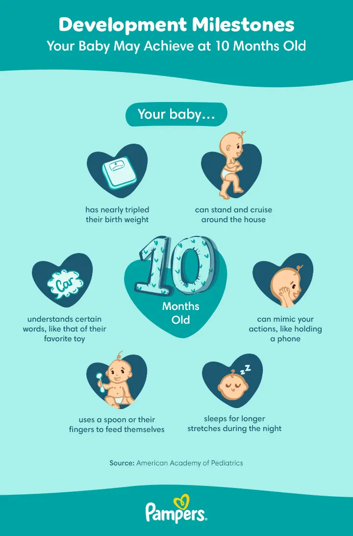 10-Month-Old Baby Development Milestones | Pampers CA