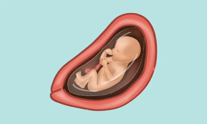 22 Weeks Pregnant: Symptoms & Baby Development | Pampers CA