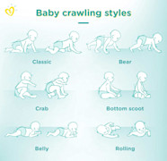 When Do Babies Crawl Pampers When Do Babies Crawl Pampers