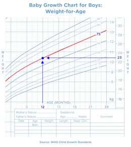 Fetal Weight Chart Canada