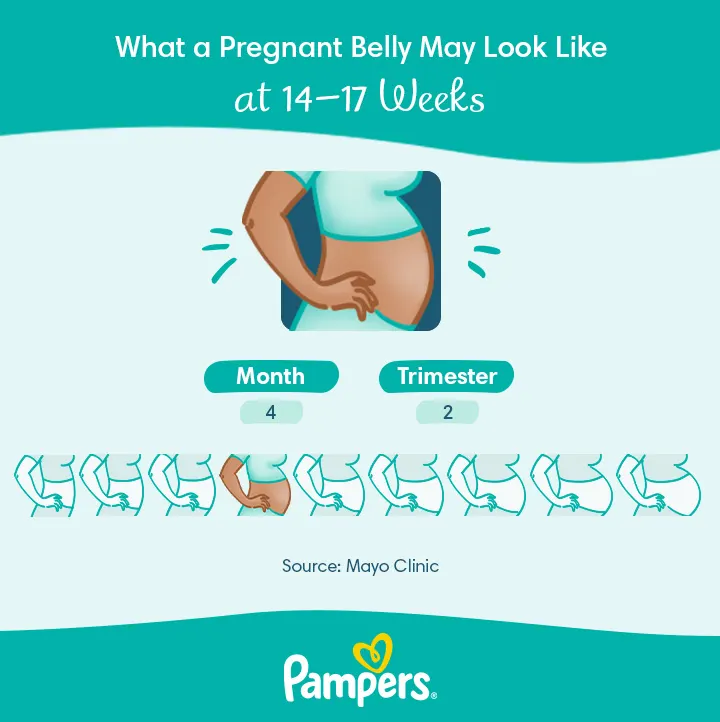 17 Weeks Pregnant: Symptoms & Baby Development | Pampers CA