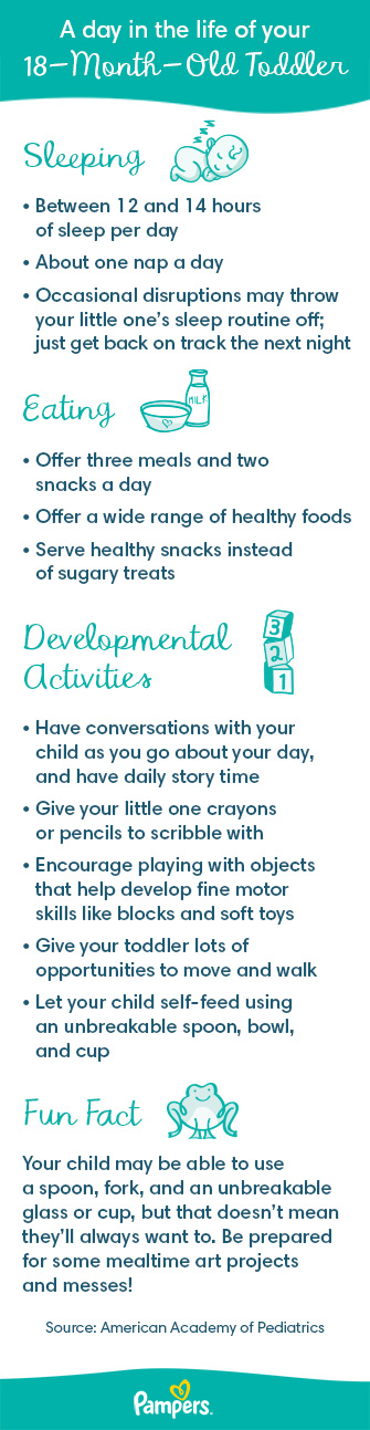 18-Month-Old: Development, Milestones, And Sleep Pampers, 48% OFF