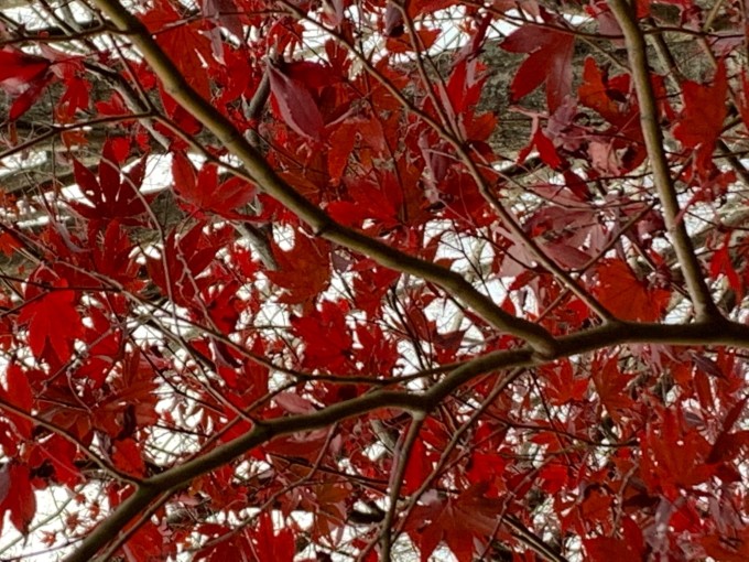 How to Get Better at Asking for Help at Work | AAPL Publication