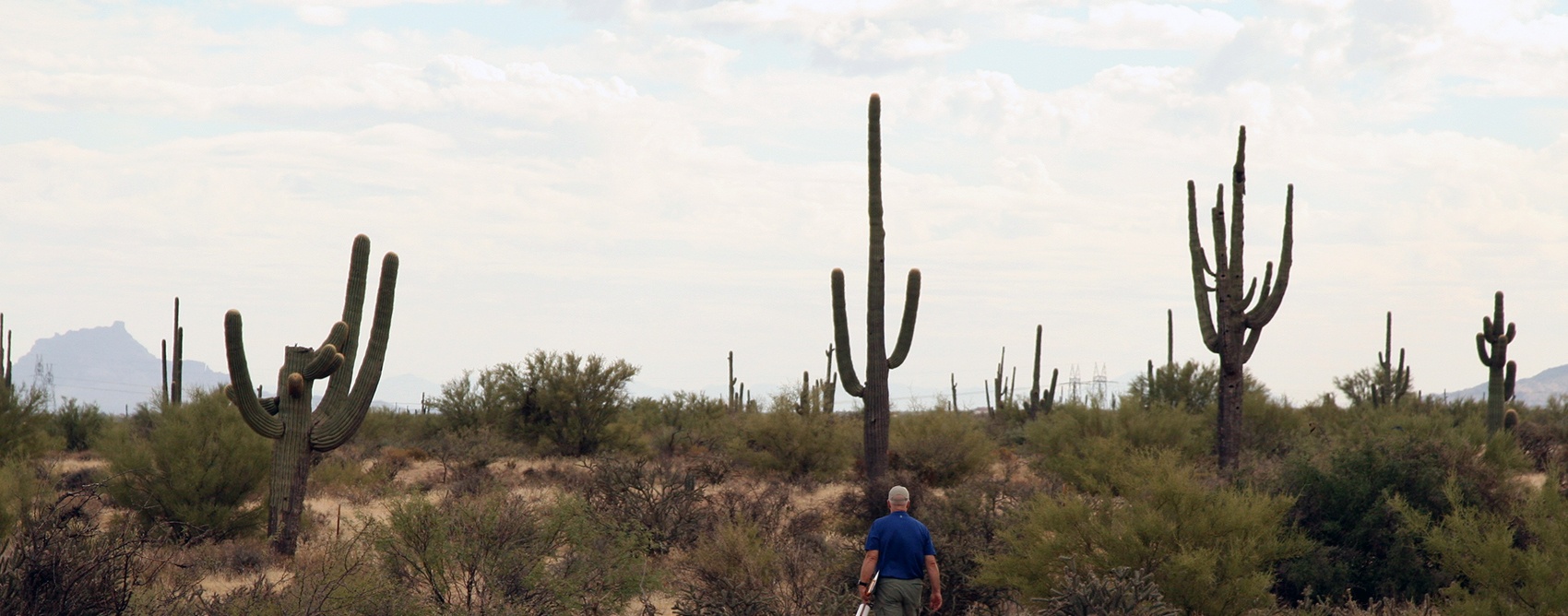 Hope, Direction and Solutions: Personal Journeys in the Desert | AAPL ...