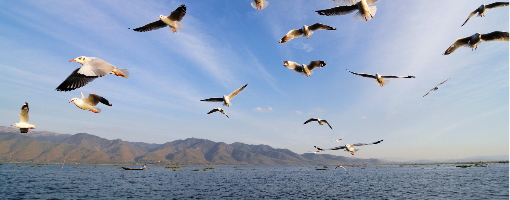 Create a Freedom-Based Workplace with ‘Corporate Liberation’ | AAPL ...