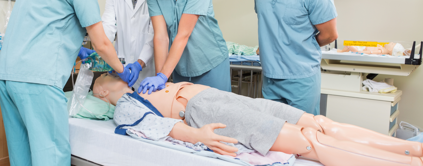 Simulation Medical Directors as New Partners in System Improvement ...