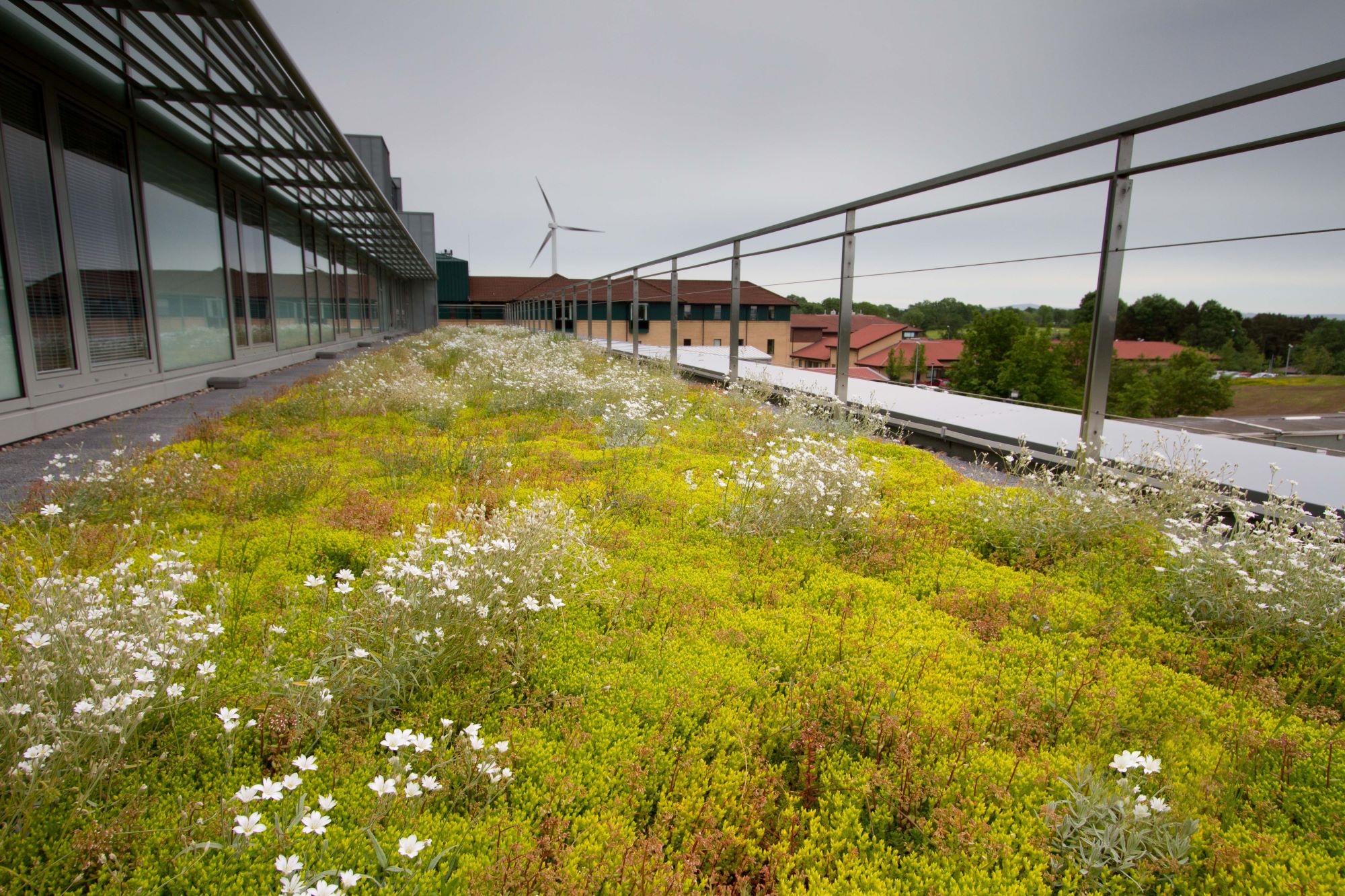 BMI UK | Attractive Green Space Provided for Hospital Patients with BMI ...