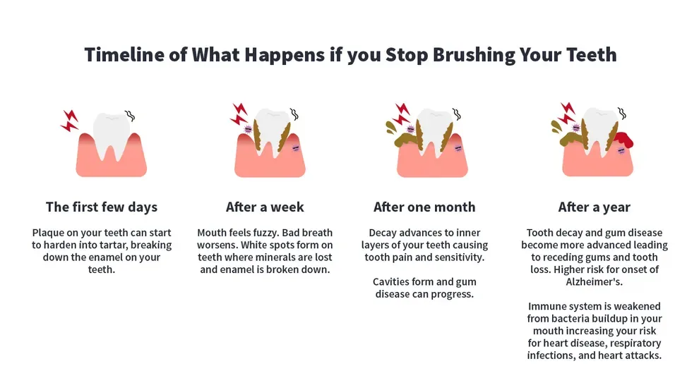 What Happens When You Stop Brushing Your Teeth? (Timeline) | Byte®