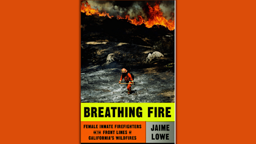 RESCHEDULED//Virtual Event: Jaime Lowe and Kim Kelly | SF/Arts