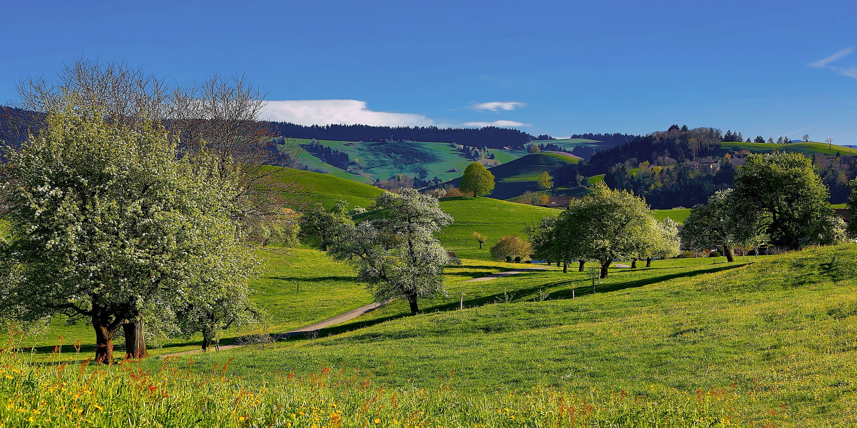 Lotes: una guía definitiva para invertir | La Haus