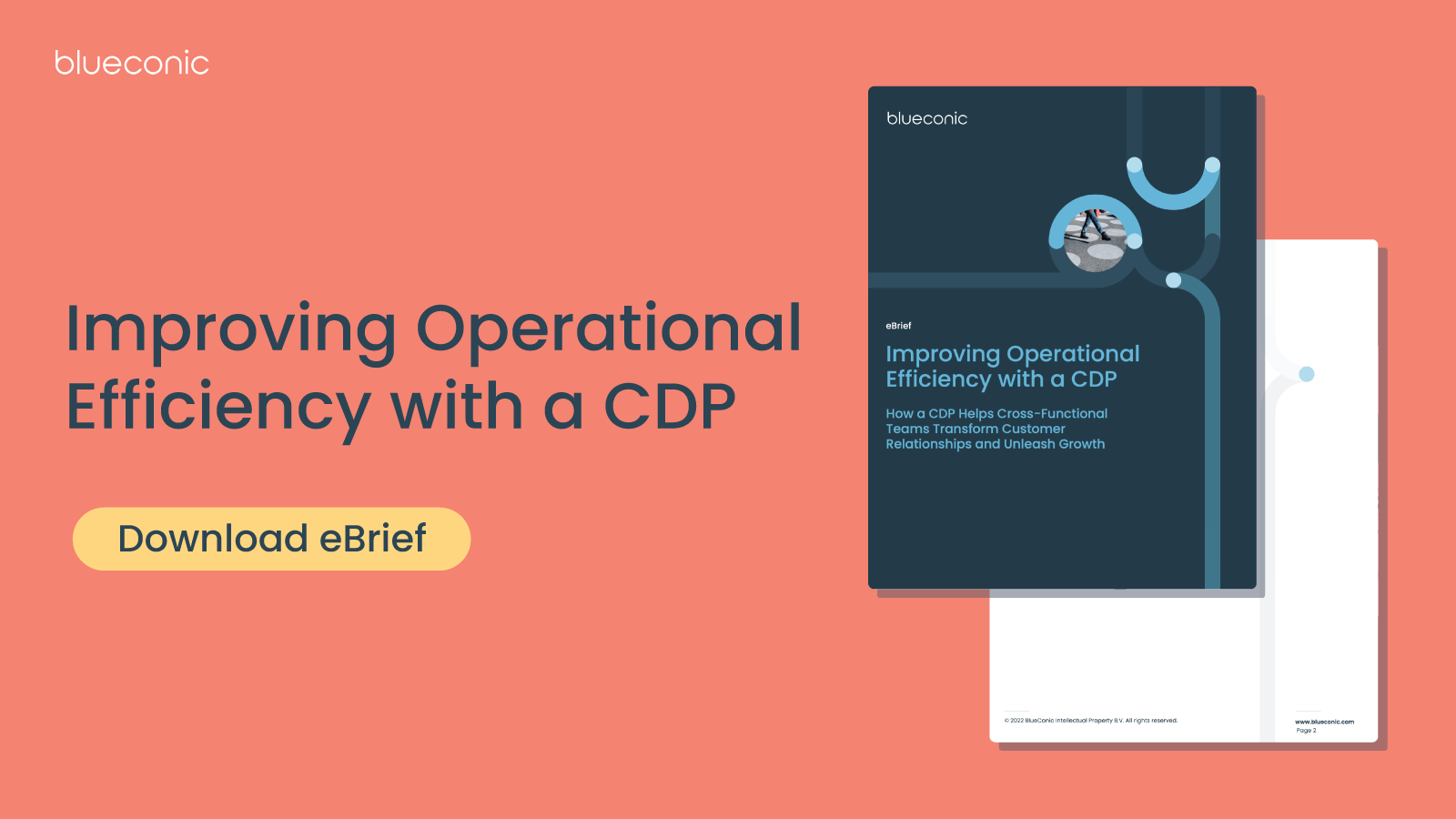 Improving Operational Efficiency with a CDP | BlueConic