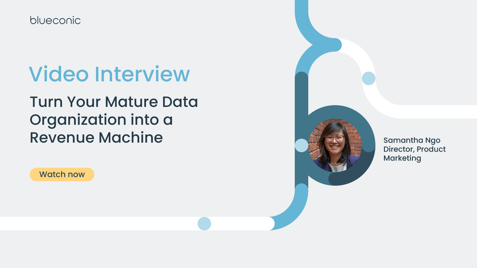 Turn Your Mature Data Organization into a Revenue Machine | BlueConic