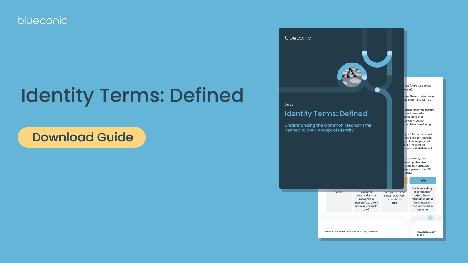 Identity Terms, Defined | BlueConic