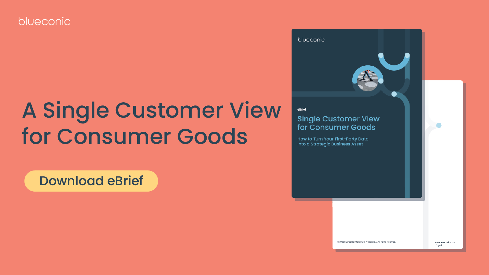 A Single Customer View for Consumer Goods | BlueConic