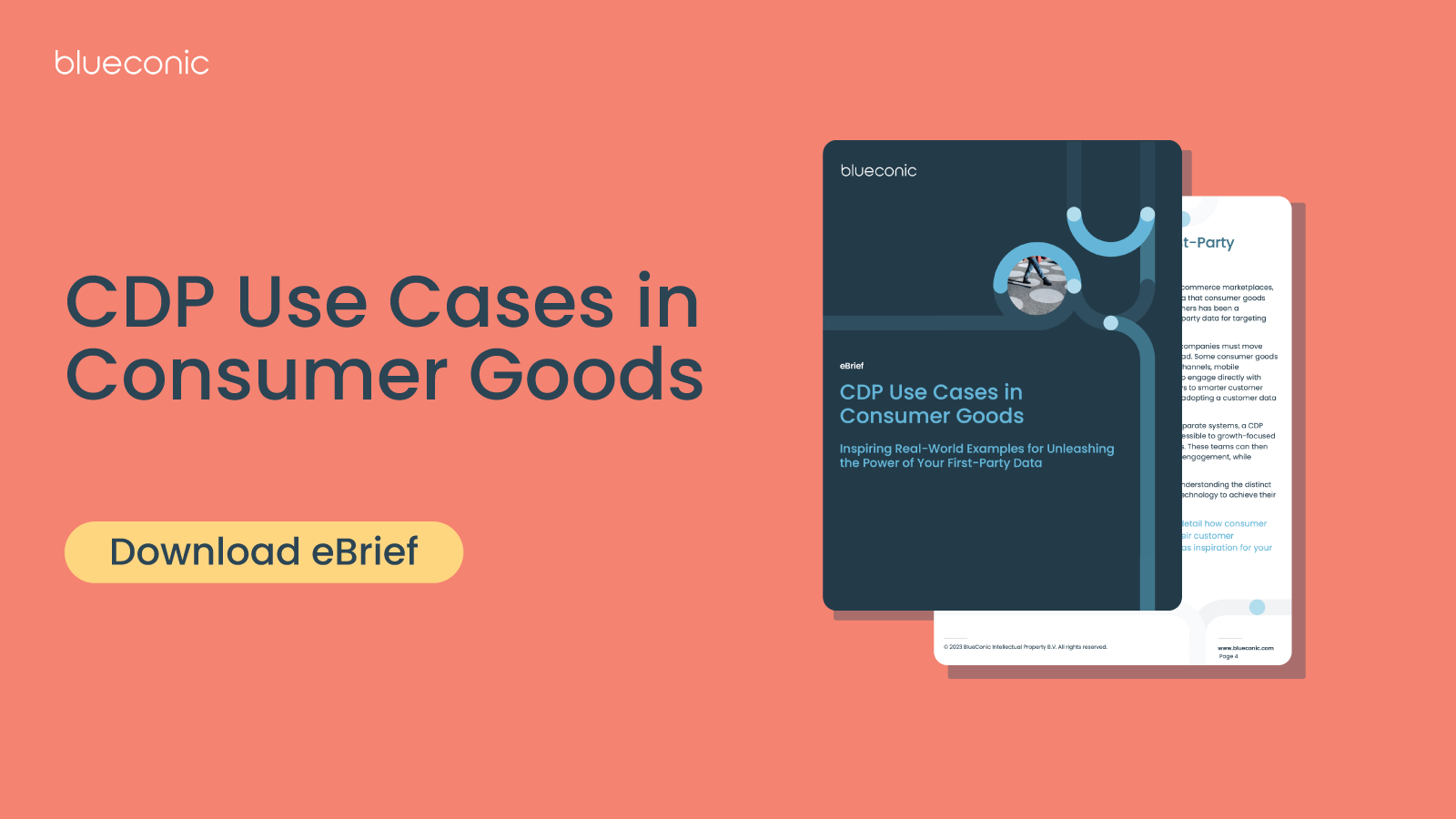 CDP Use Cases in Consumer Goods | BlueConic