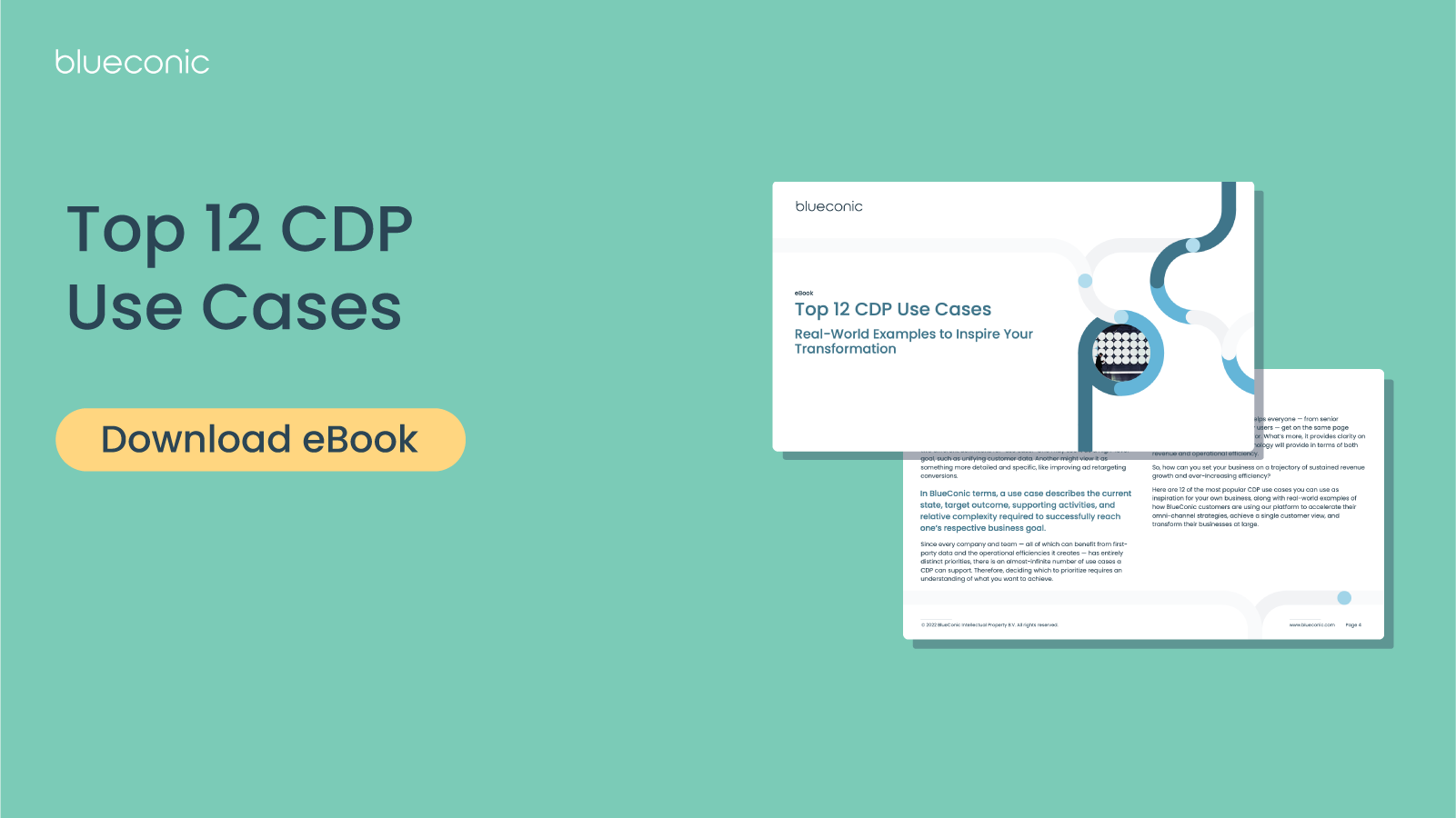 Top 12 CDP Use Cases | BlueConic