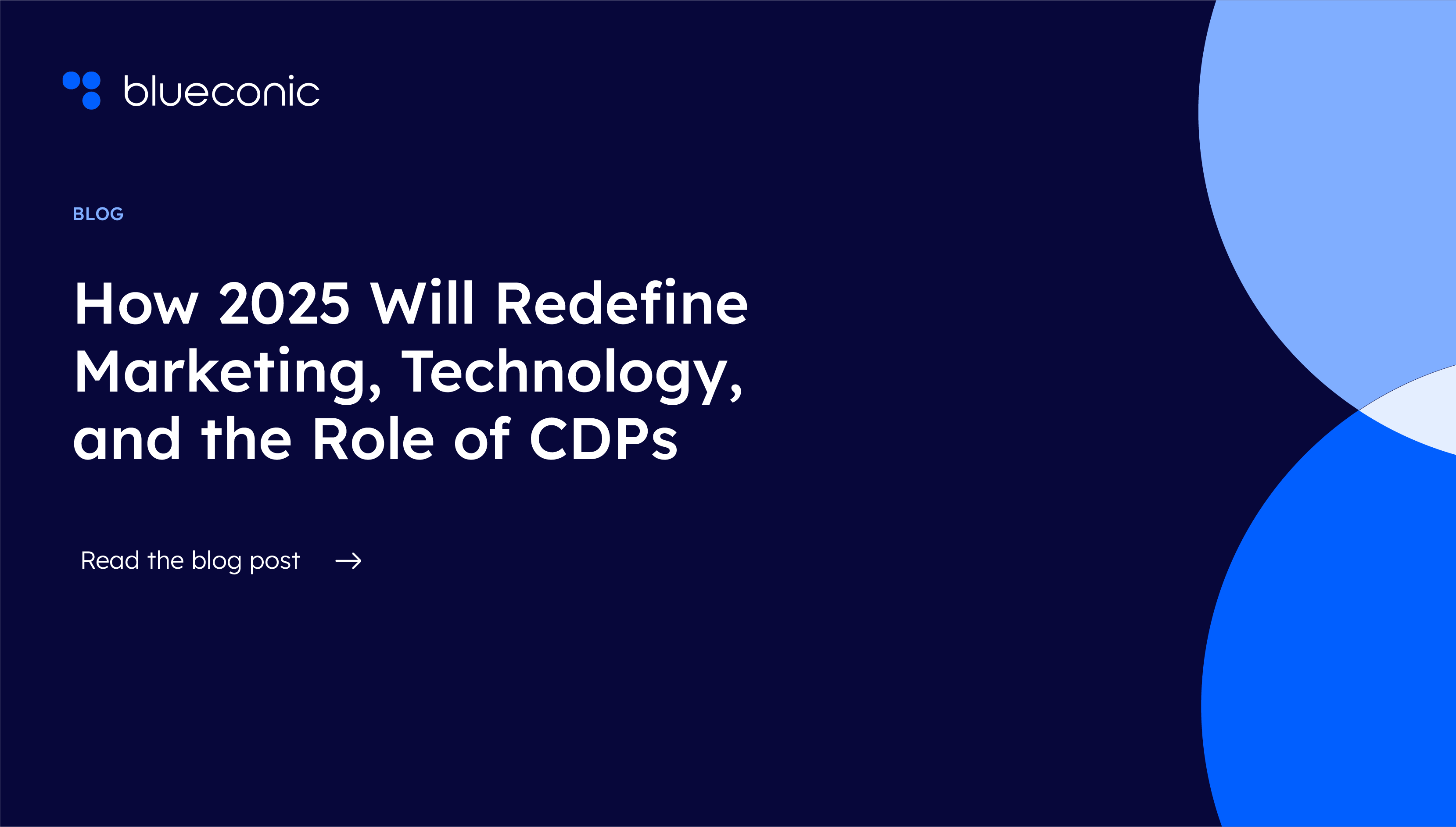 How 2025 Will Redefine Marketing, Technology, and the Role of CDPs ...