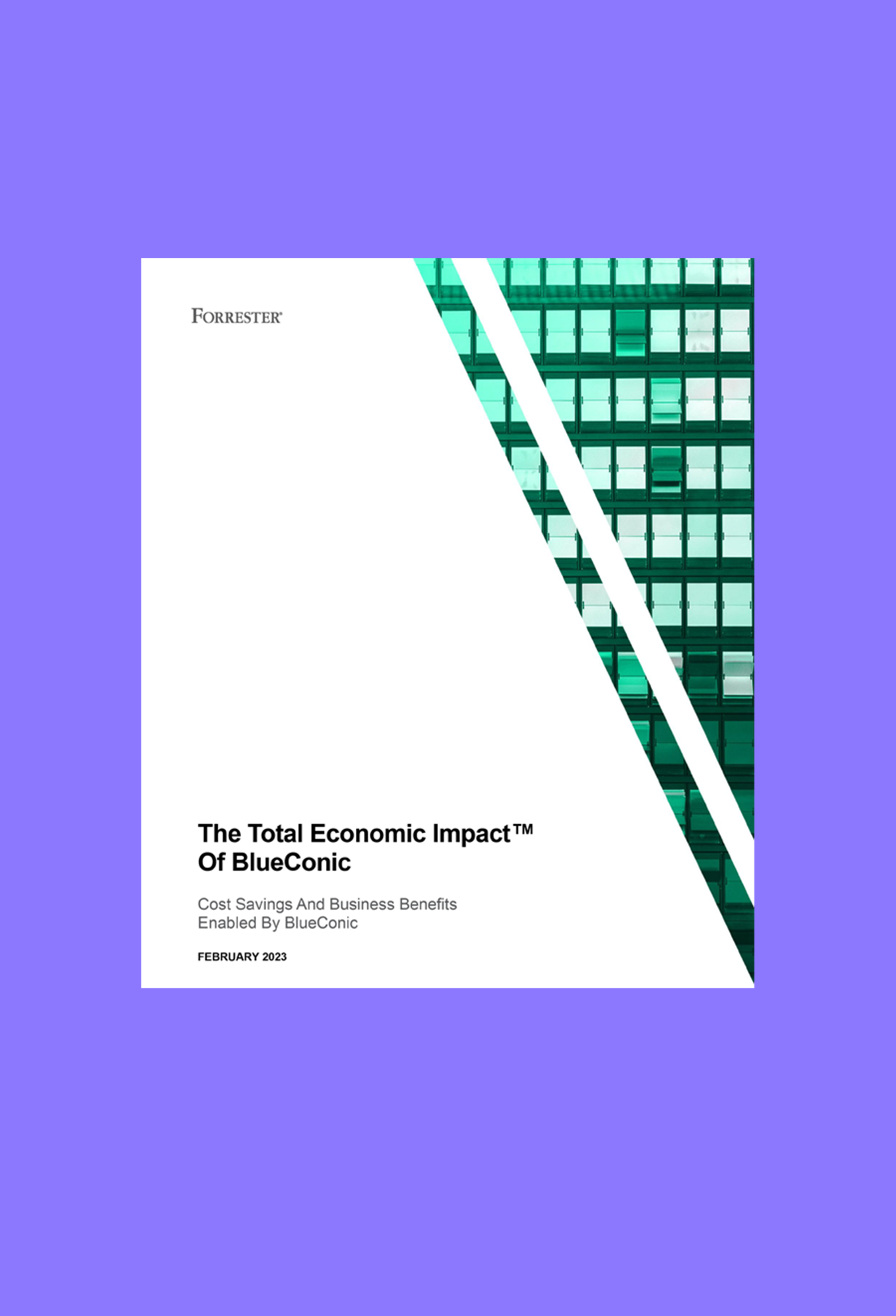 The Total Economic Impact™ of BlueConic | BlueConic