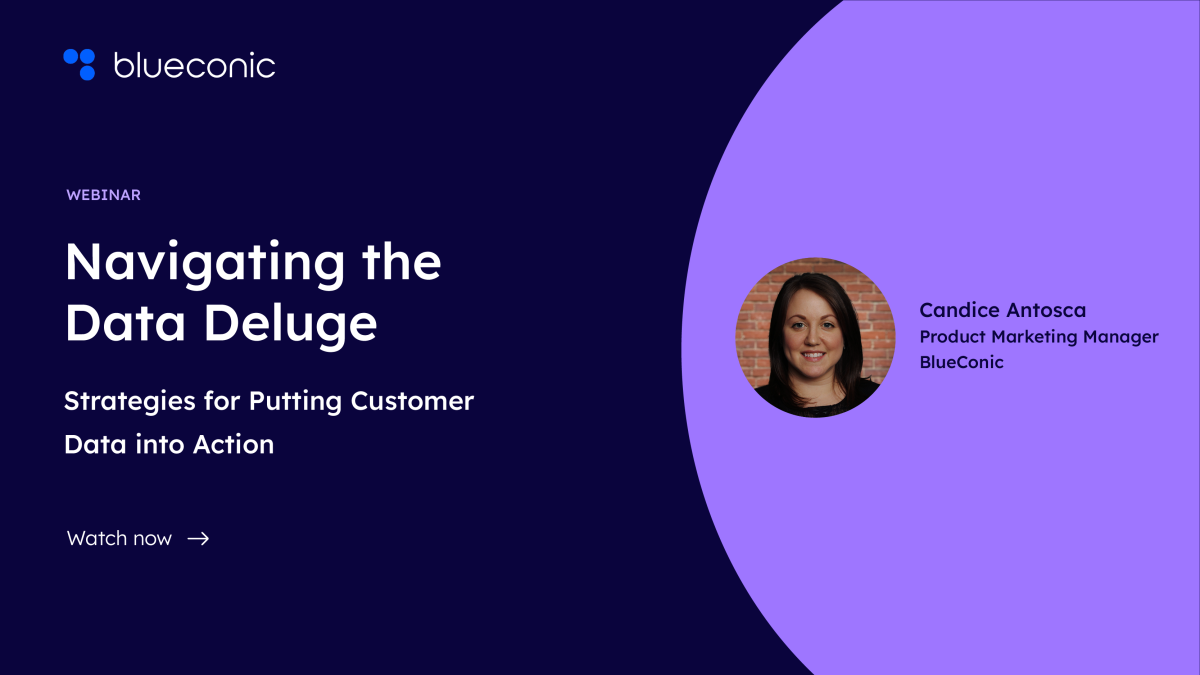 Navigating the Data Deluge: Strategies for Putting Customer Data into Action with Technology ...