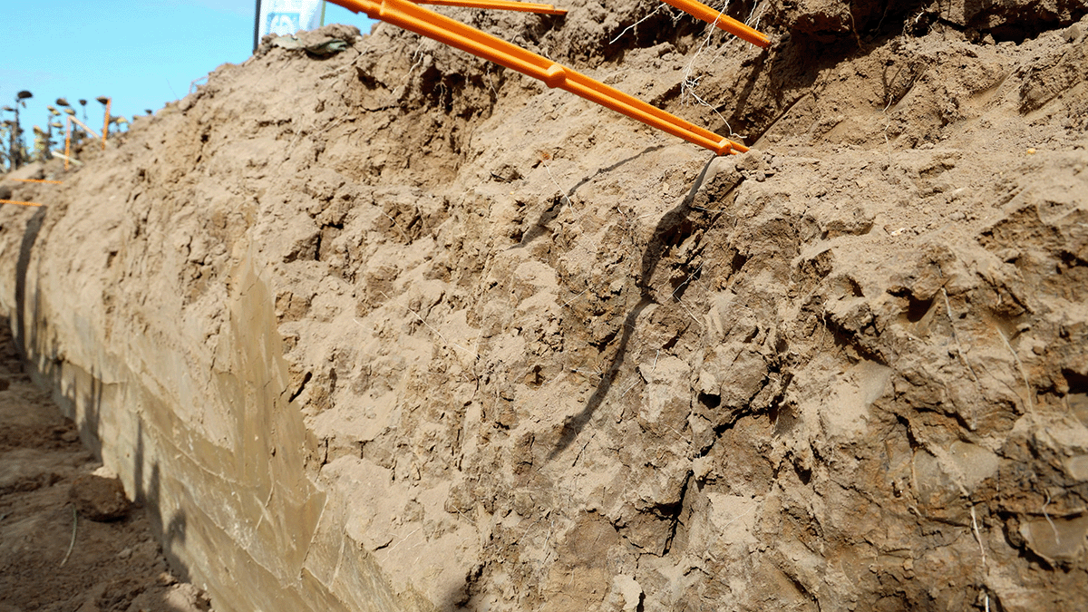 Fumure de fond : les clés d'une fertilisation réussie