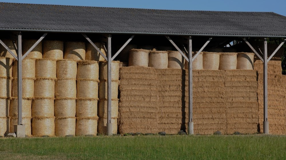 La conservation des fourrages, une étape à ne pas négliger