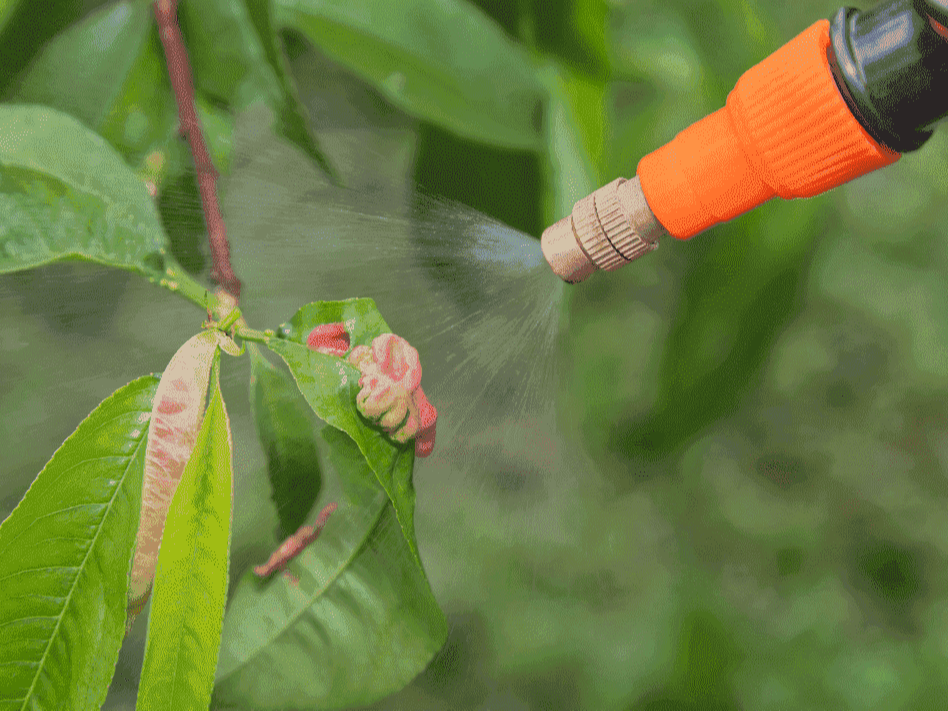 Pourquoi utiliser un produit phytosanitaire ? | Farmi