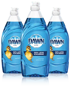 Homepage [dawn-dish.com]