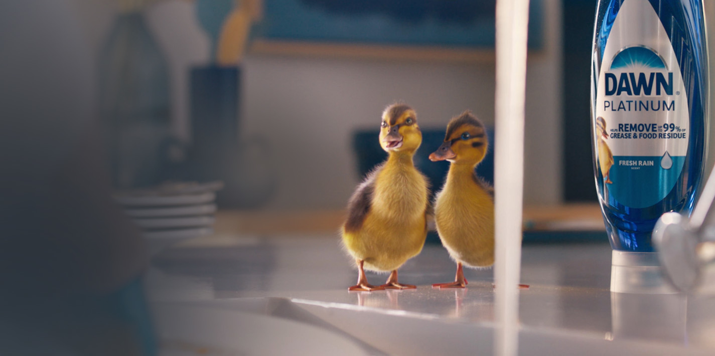 Dawn Dish Soap Ingredients | Dawn