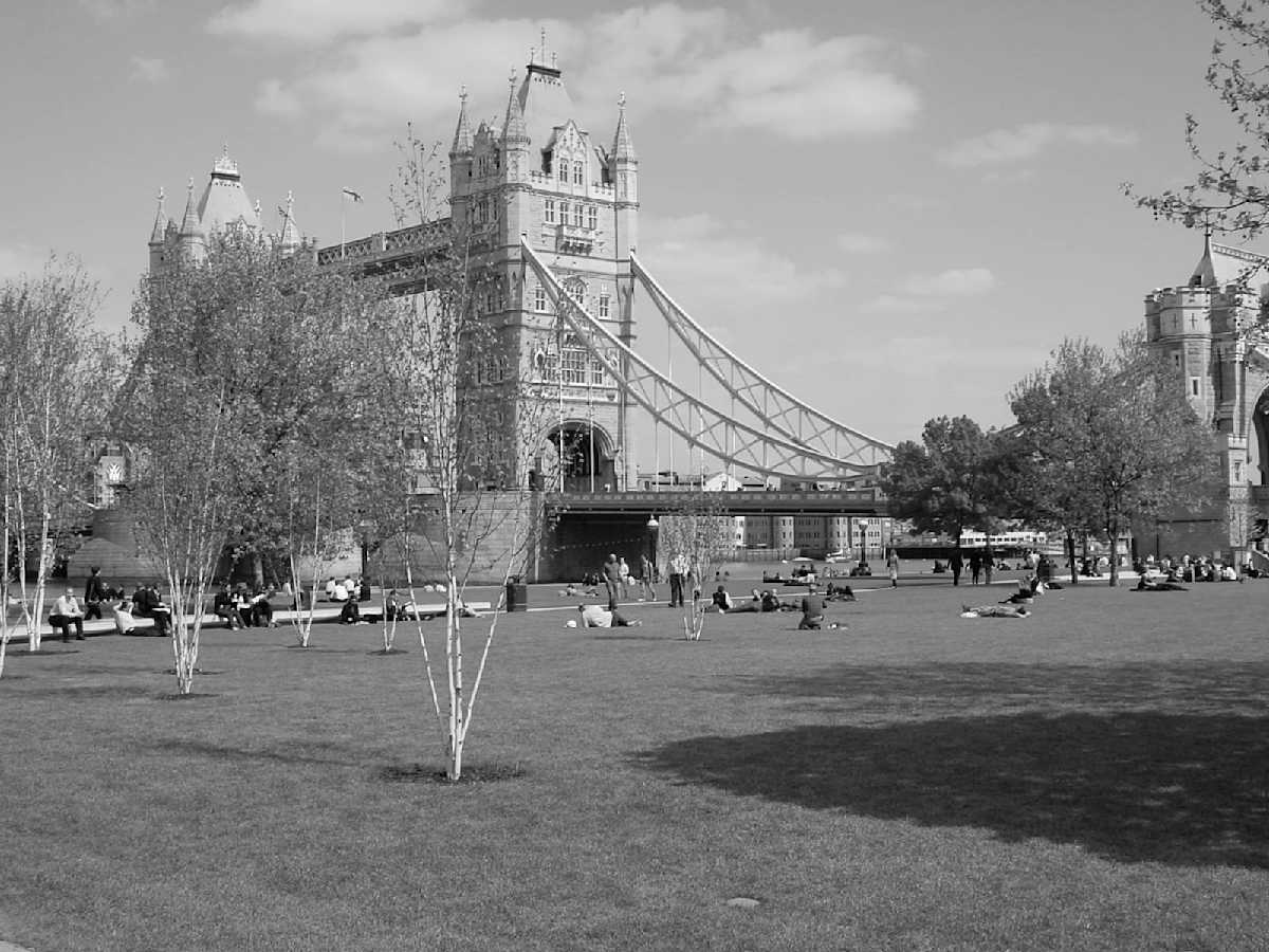 MSCTY X London Bridge mscty-x-london-bridge