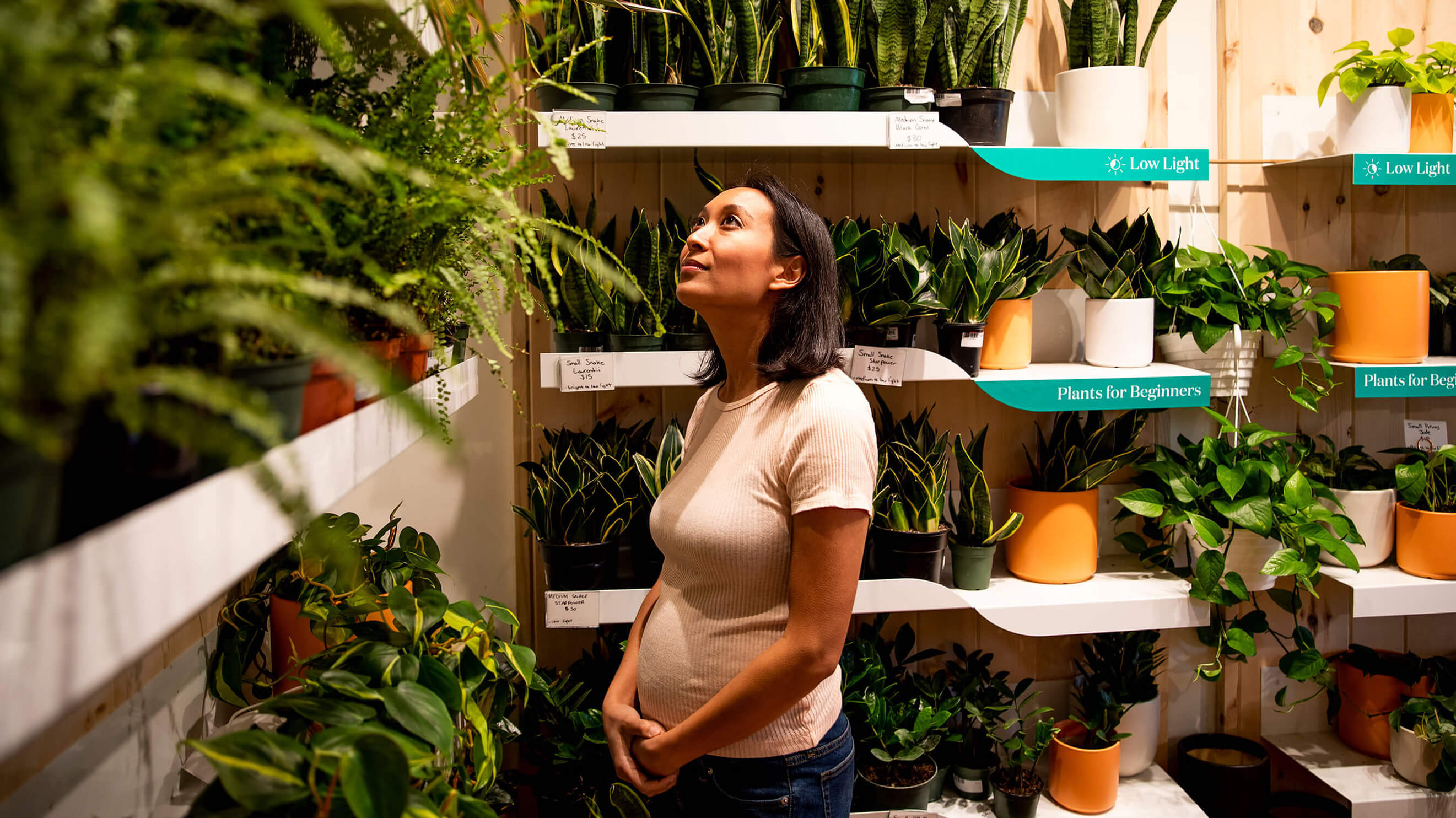 Business is Blooming: A Lush Look Inside The Sill | In the Works