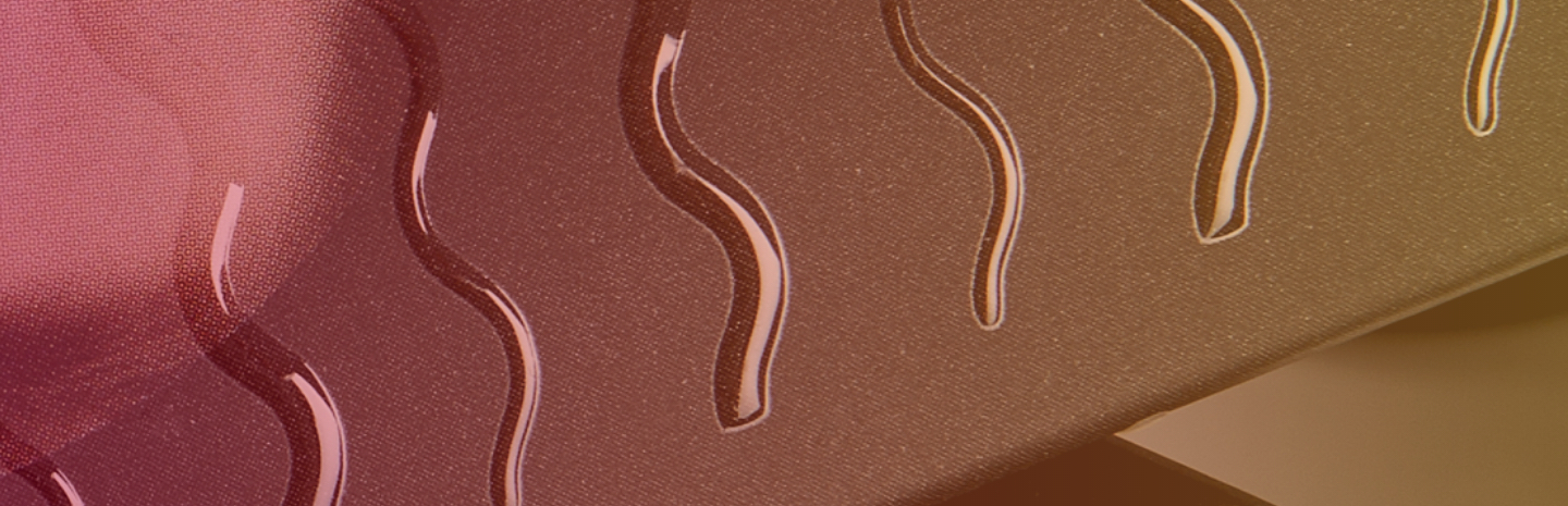 Online printing: custom digital printing | Pixartprinting