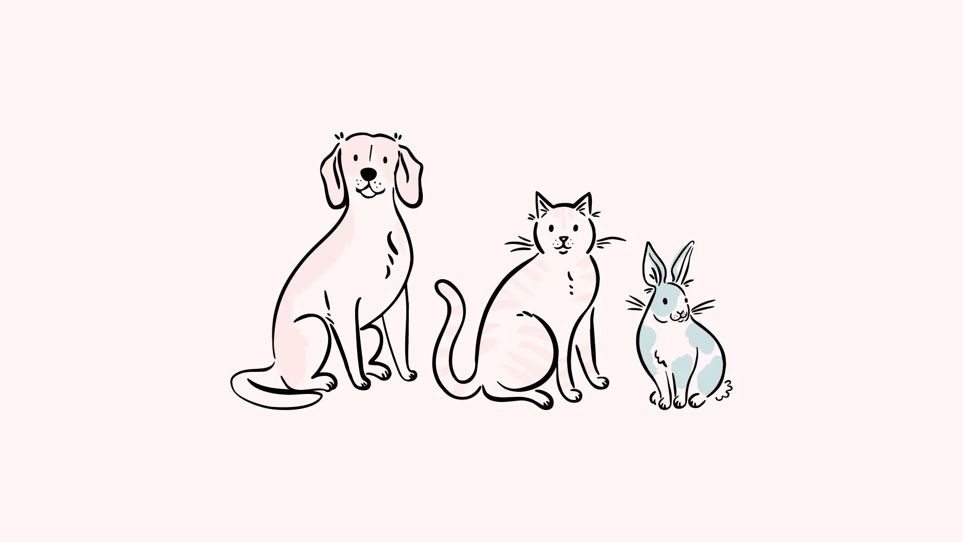 Pethealth club store