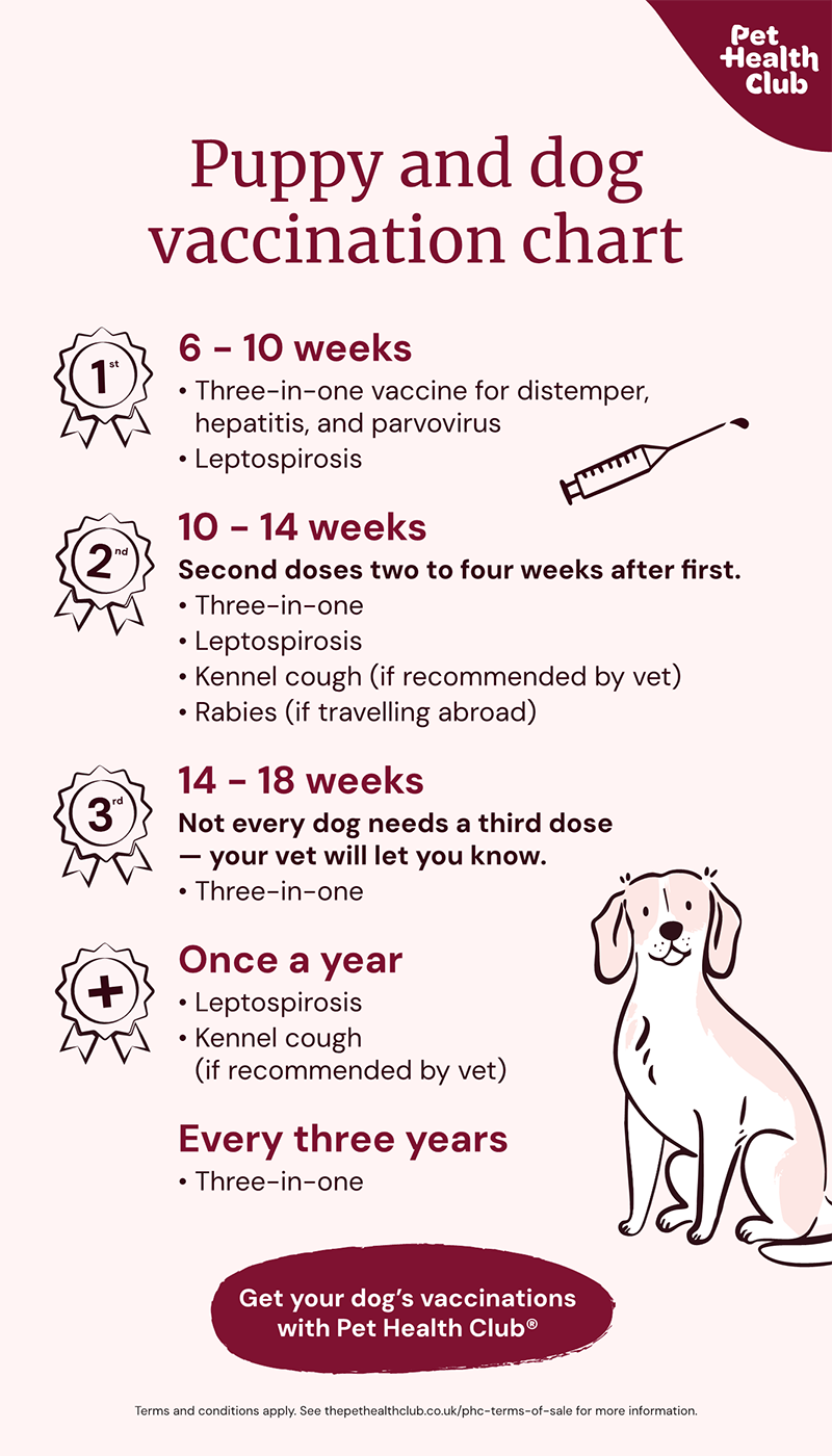 immunization schedule uk