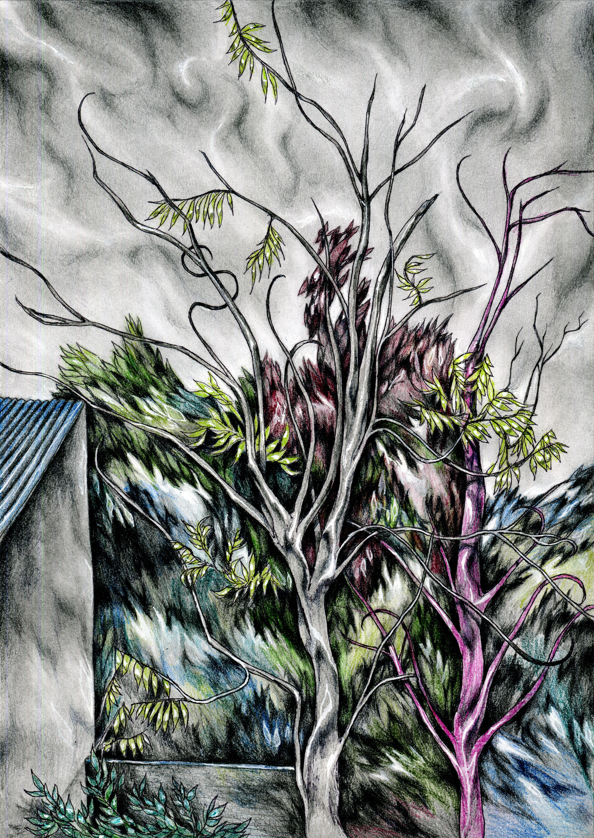 David Rappeneau | Gladstone Gallery