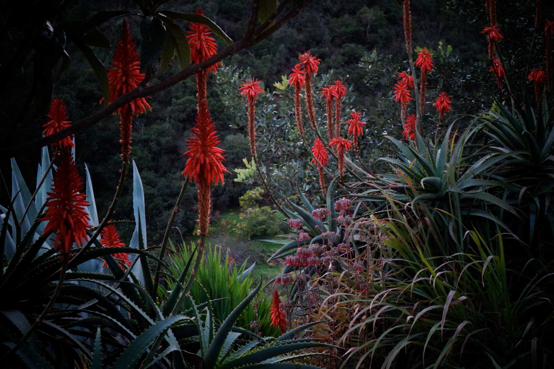 "Bloody spring never ends" 2014-2016 | Alan Tod