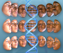 Just Based On DNA Scientists Can Construct An Image Of Your Face 