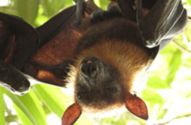 Update Is Discussing Bat Fellatio With Colleagues Sexual Harassment