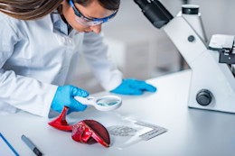 Top 5 Pieces Of Forensic Evidence Used To Solve A Discover Magazine
