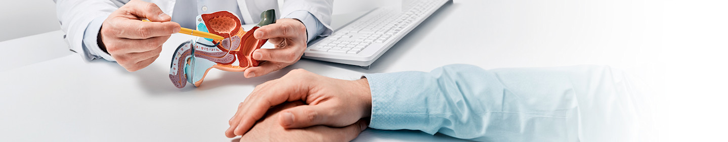 Próstata: ¿Para qué sirve y por qué revisarla? - TENA