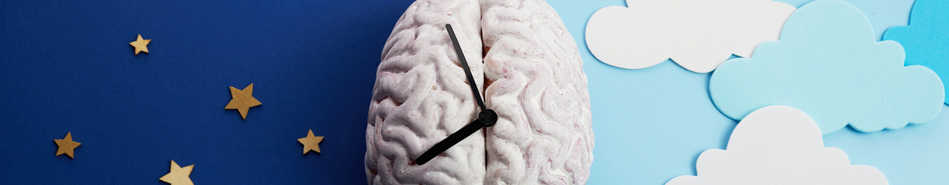 Ritmo o ciclo circadiano: Todo lo que debes saber - TENA