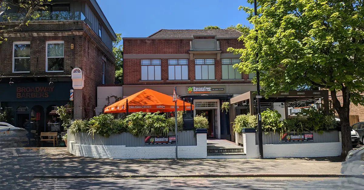 Haywards Heath | Banana Tree