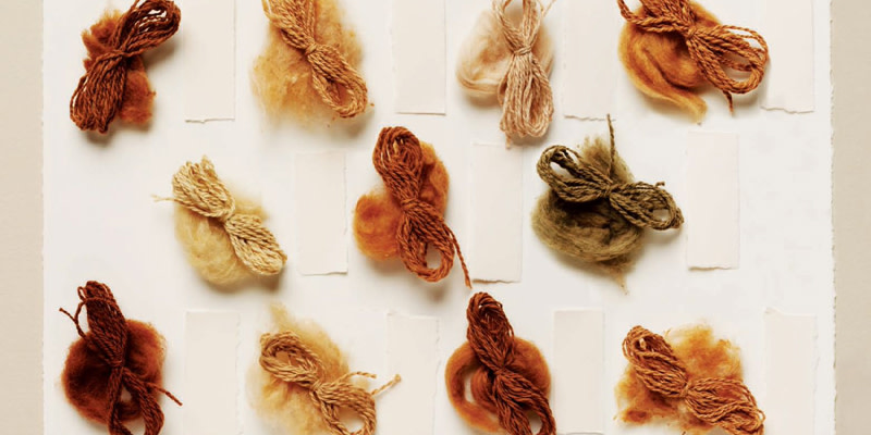 Natural Fibers: Free Spinning Projects on Alternative Fibers and More ...
